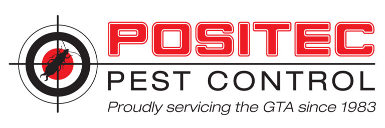Home - Positec Pest & Wildlife Control